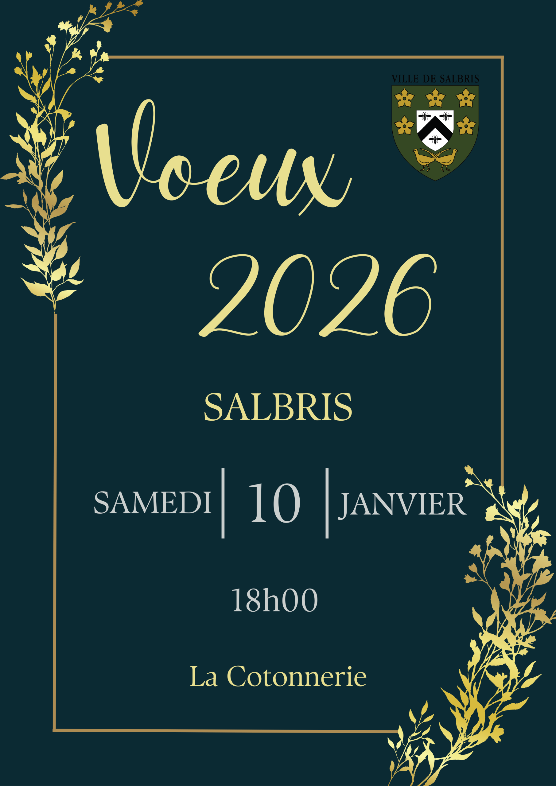 Vœux du maire 2025 • Ville de Salbris - Loir-et-Cher